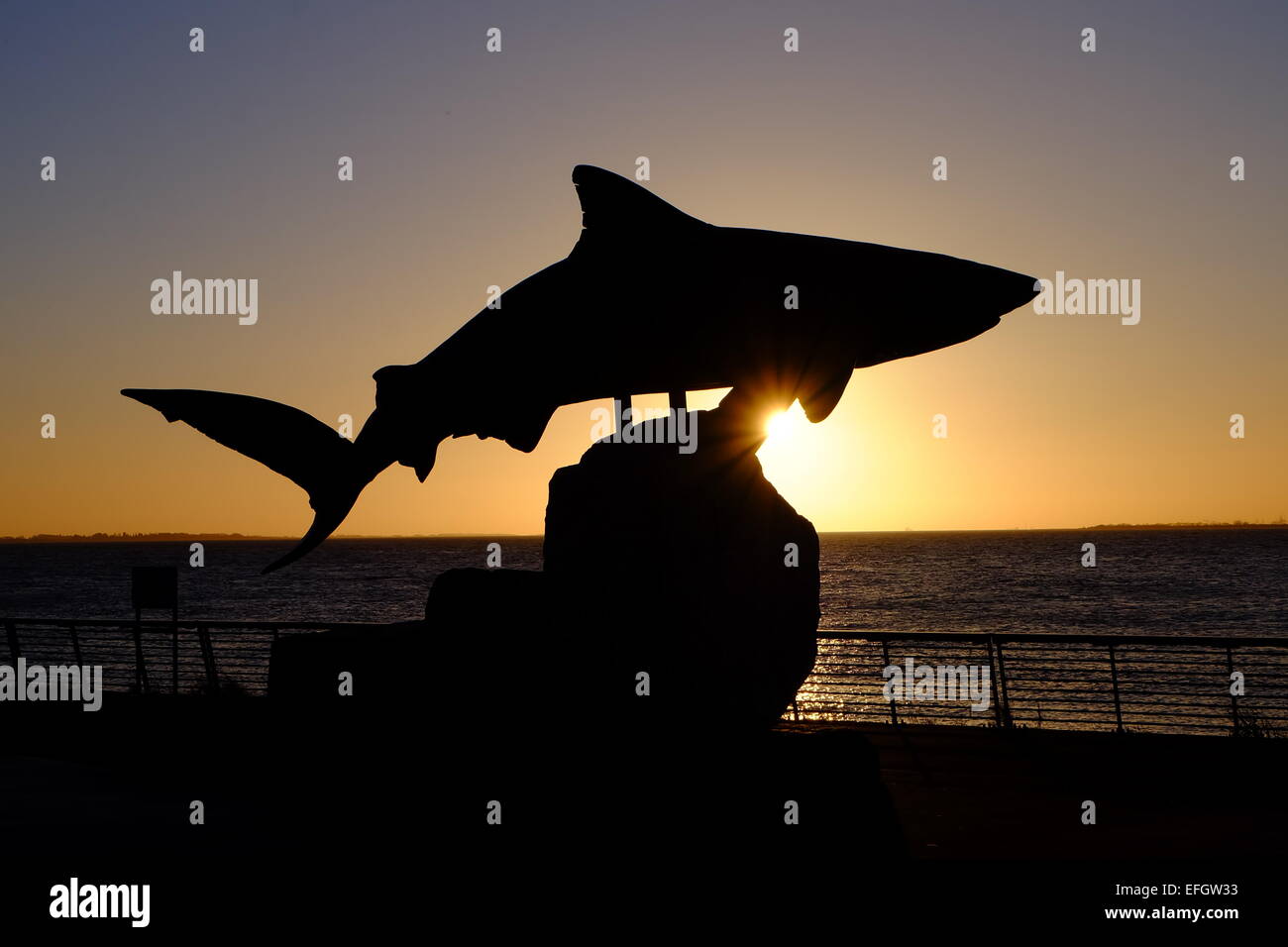 The deep, Hull, shark sculpture at sun rise Stock Photo - Alamy