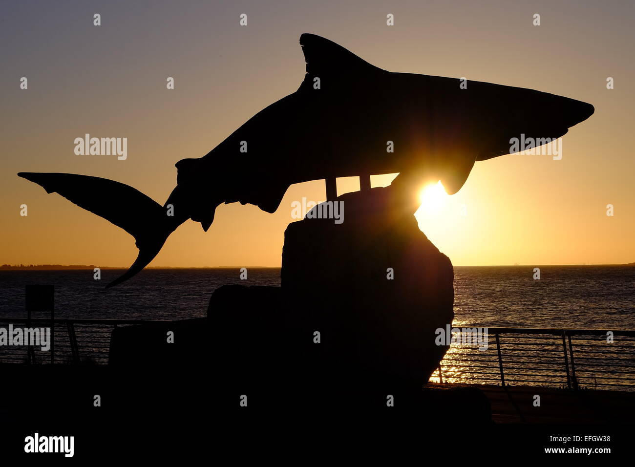 The deep, Hull, shark sculpture at sun rise Stock Photo - Alamy