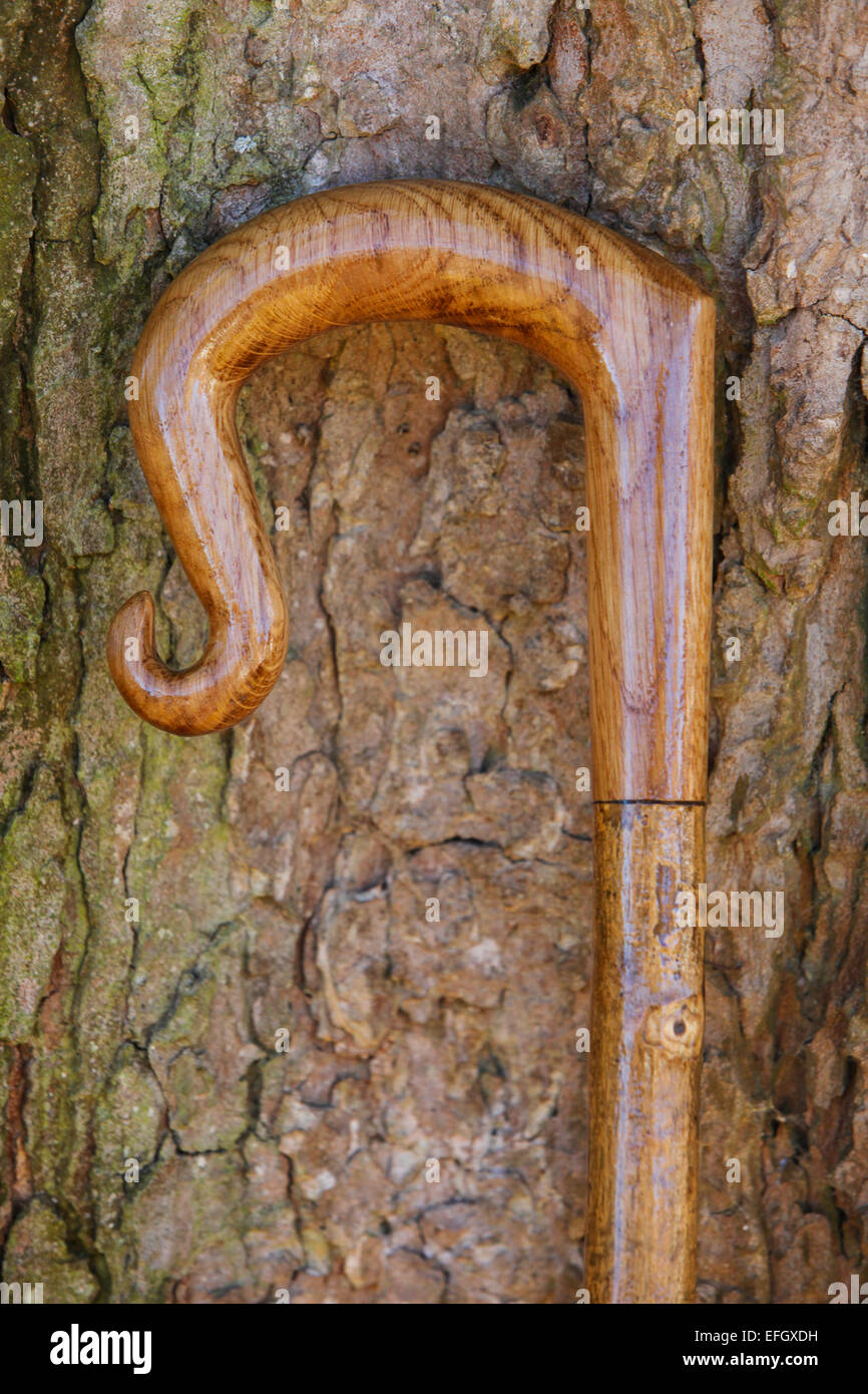 Traditional handcrafted oak wood walking stick with nose out crook ...