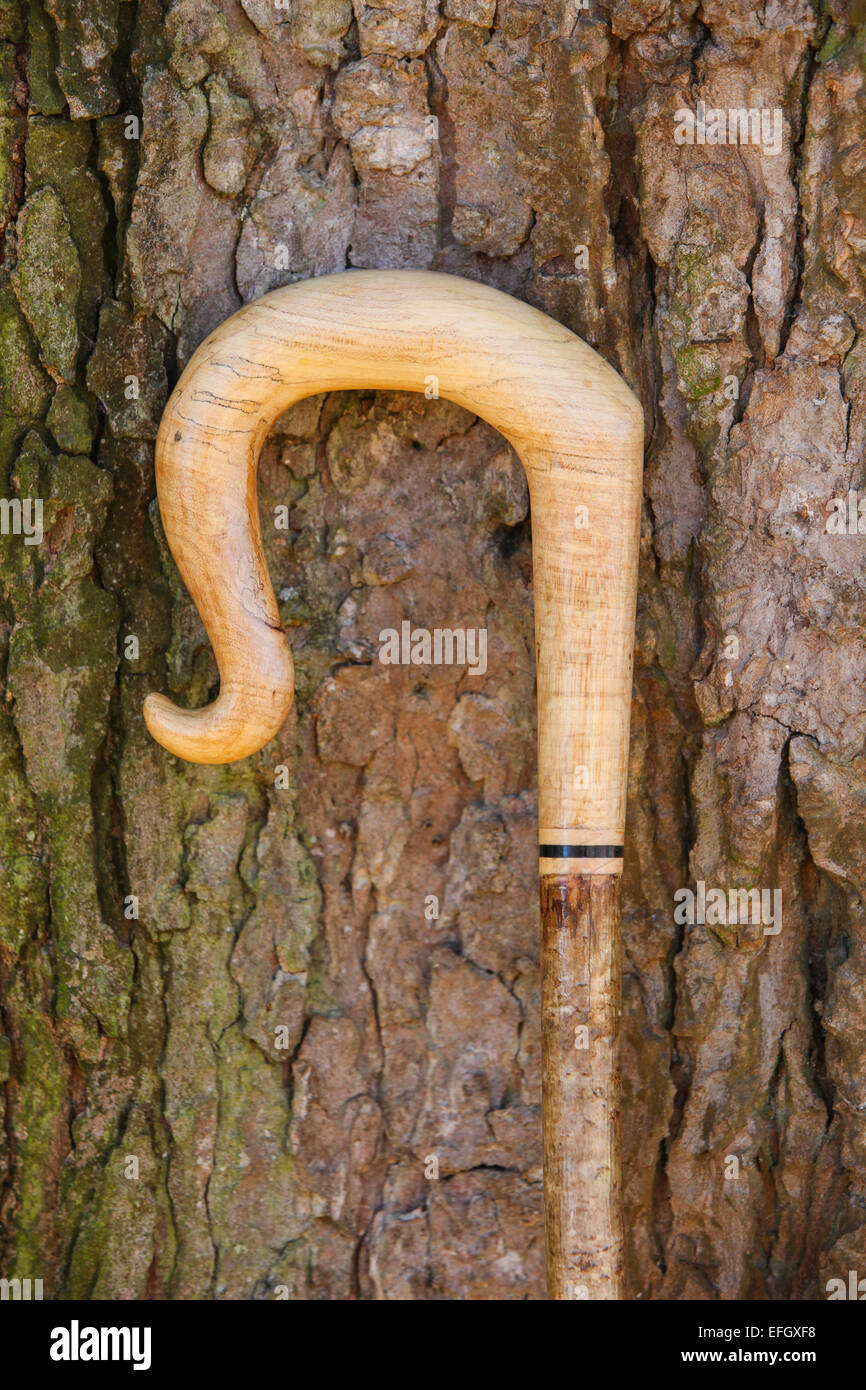 Traditional handcrafted shepherds crook with maple wood handle Stock ...