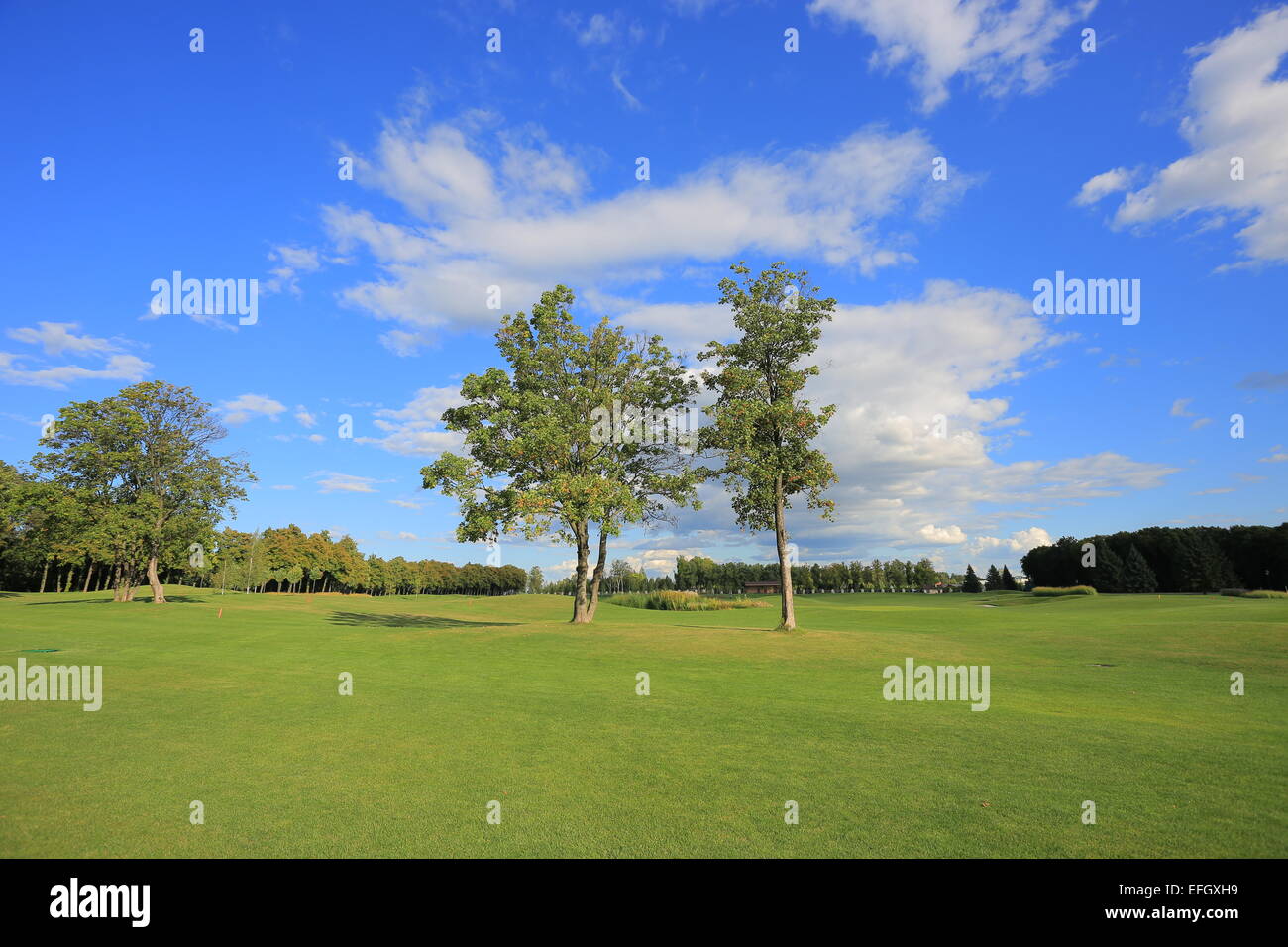 Golf environment hi-res stock photography and images - Alamy