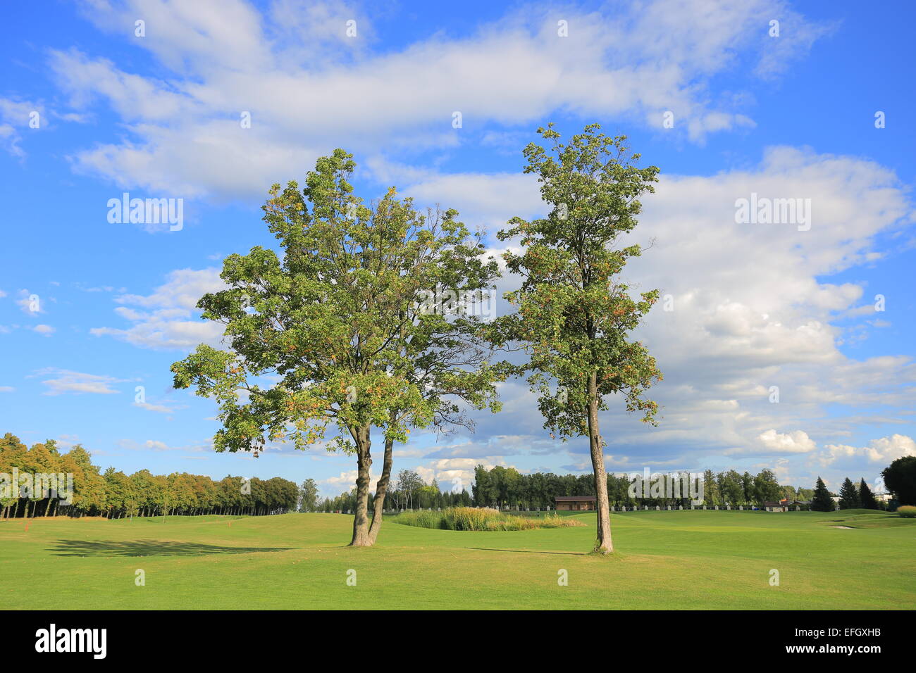 Golf environment hi-res stock photography and images - Alamy