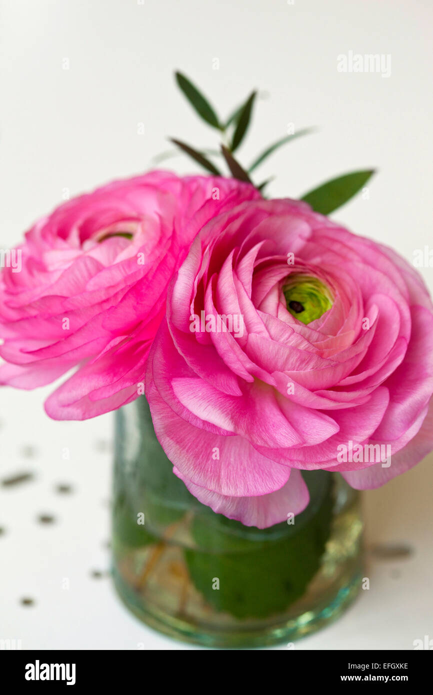 Decorative eyelets hi-res stock photography and images - Alamy