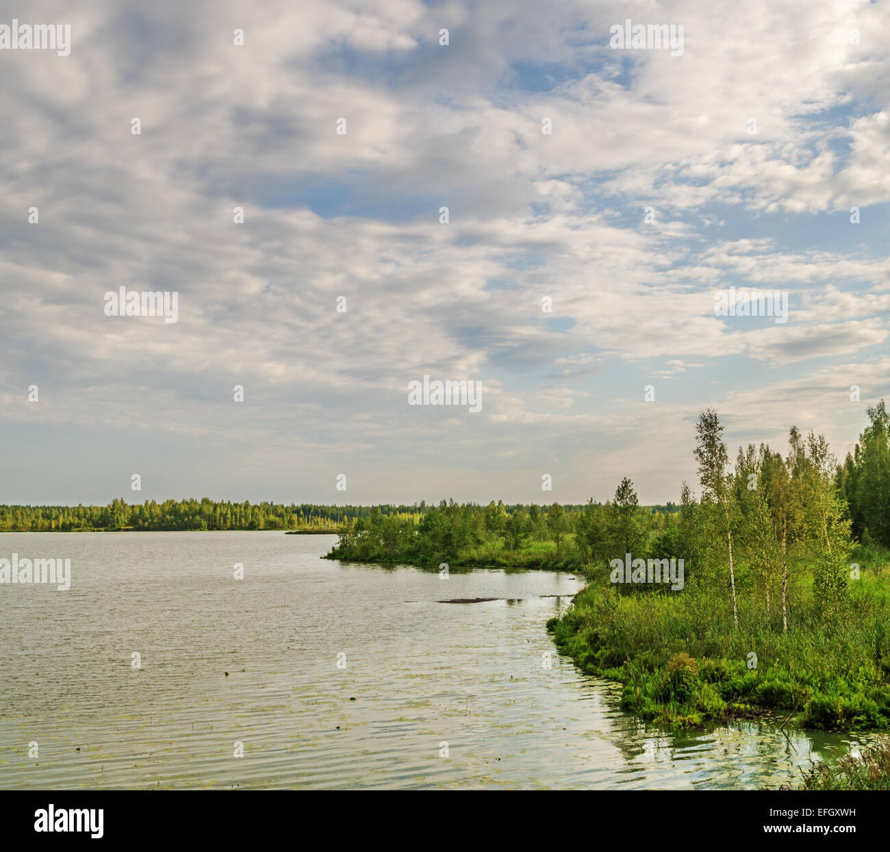 Summer lake, cane, cloudscape view Stock Photo - Alamy