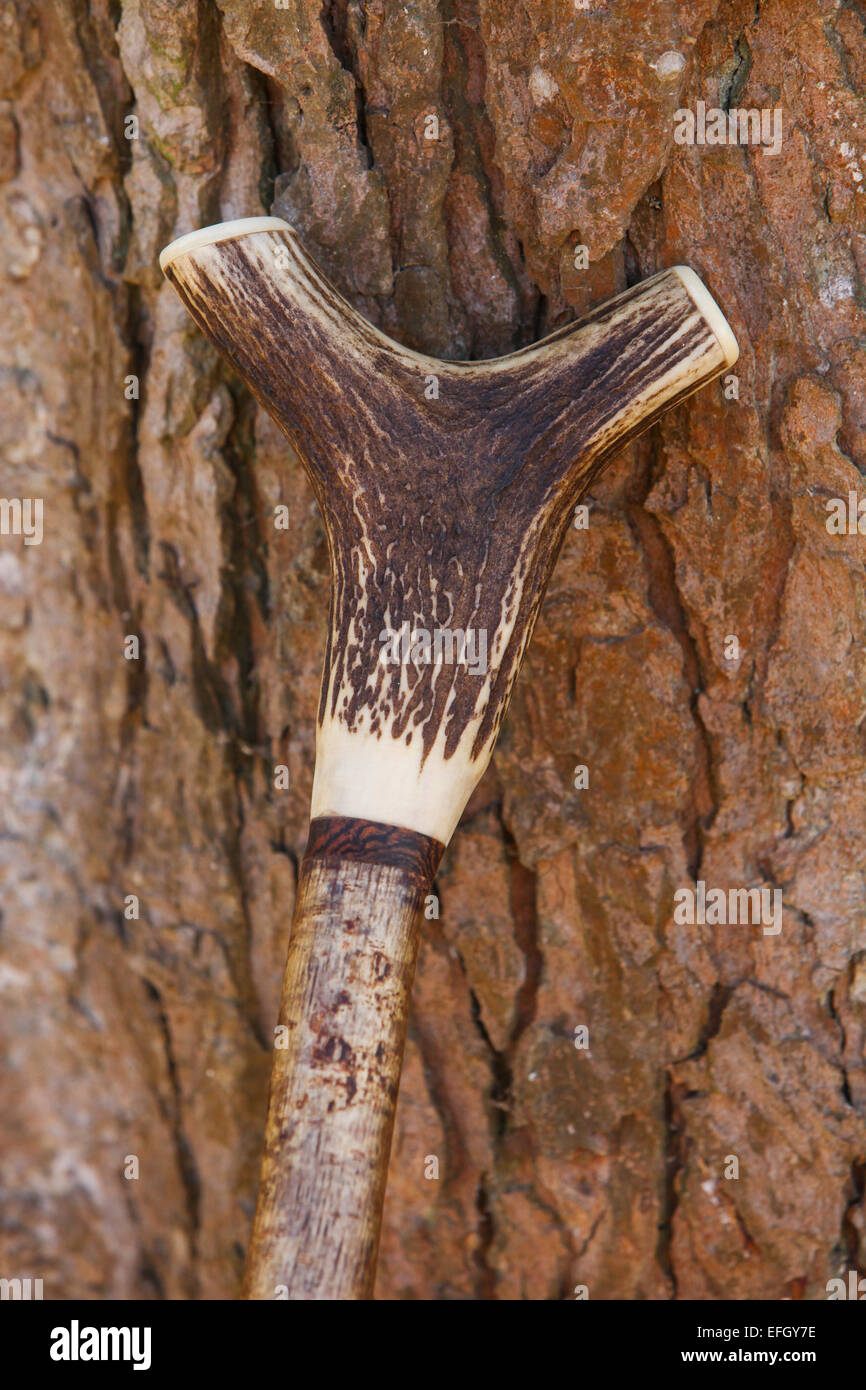 Traditional handcrafted shepherds crook with red deer antler thumbstick ...