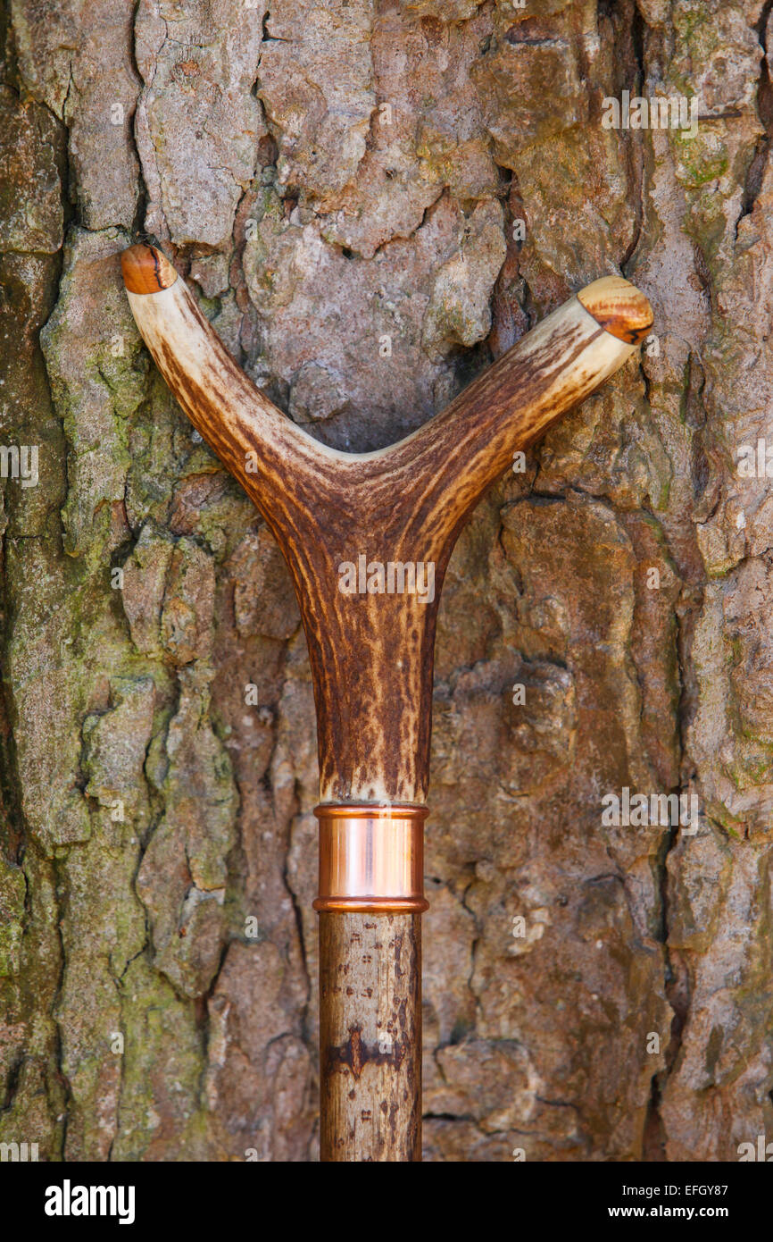 Traditional handcrafted shepherds crook with red deer antler thumbstick ...