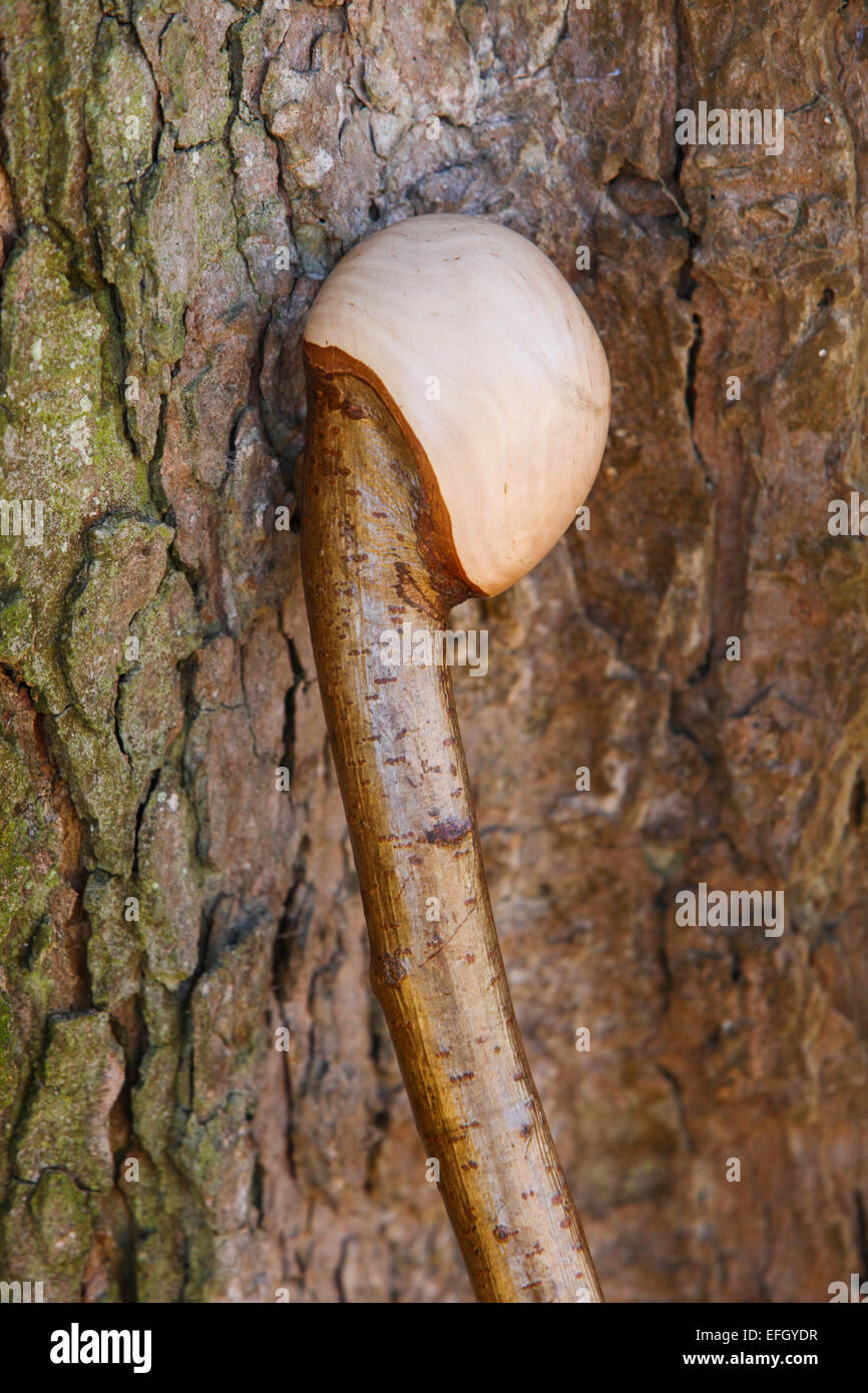 Hazel wood texture hi-res stock photography and images - Alamy