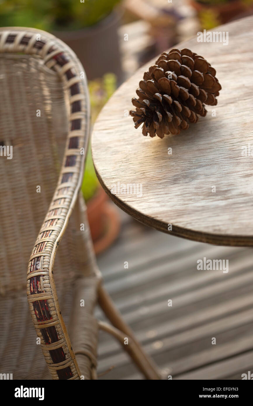 Chair and pine cone hi-res stock photography and images - Alamy