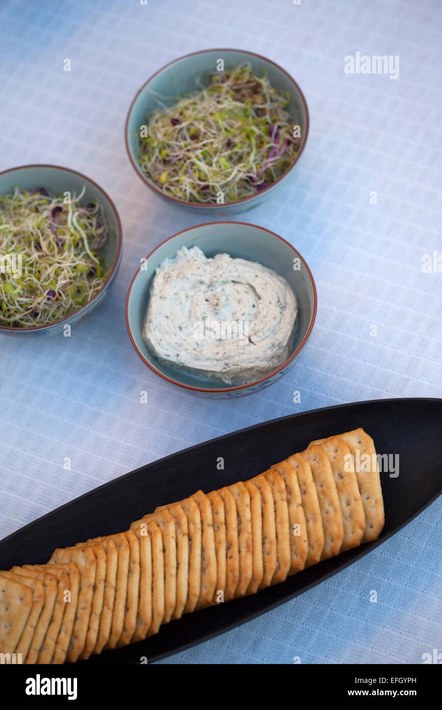Soybean germ, biscuits and spicy cream Stock Photo - Alamy