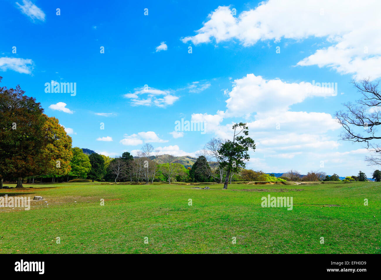 Day park hi-res stock photography and images - Alamy