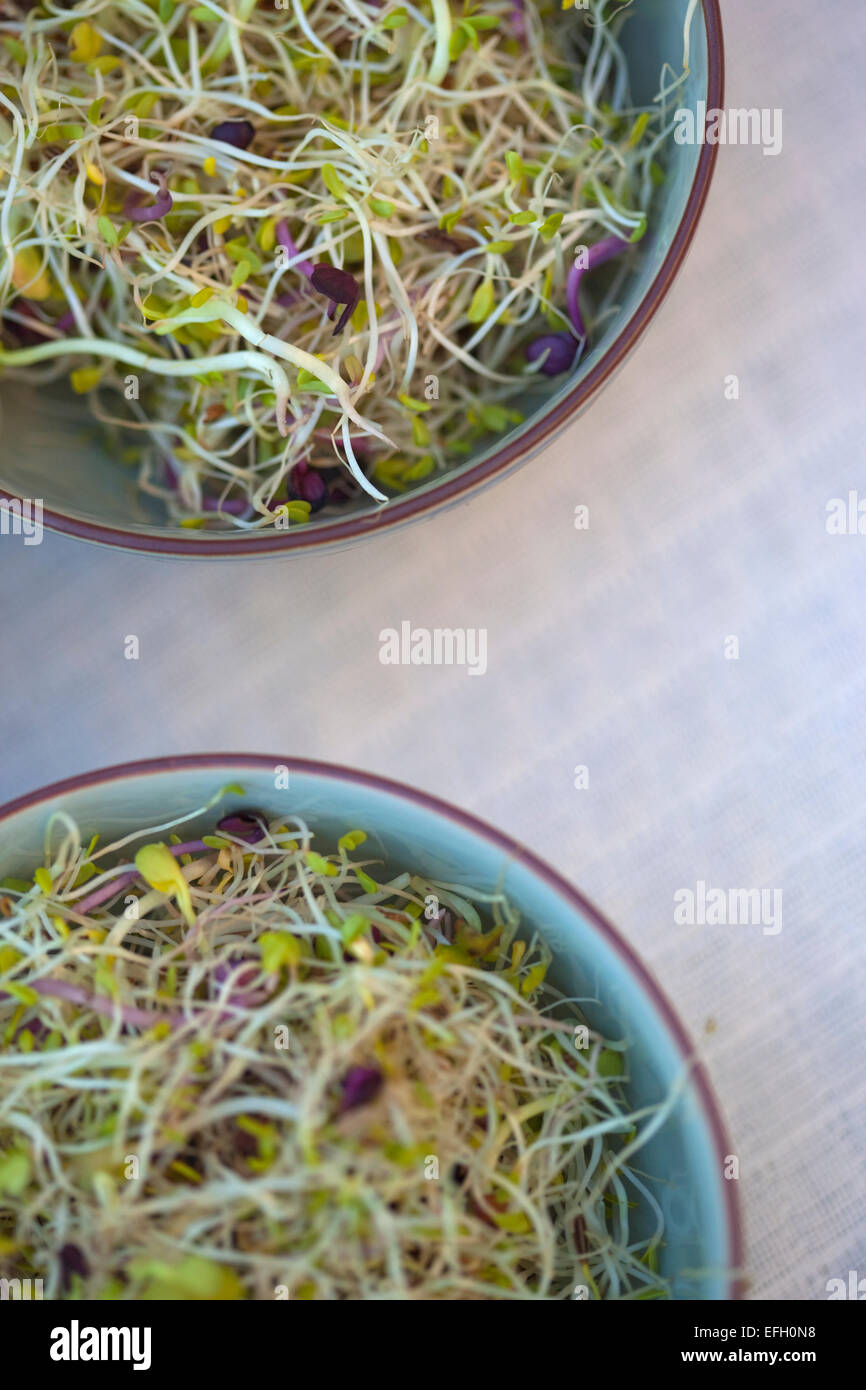 Soybean germ in chinese bowls Stock Photo - Alamy