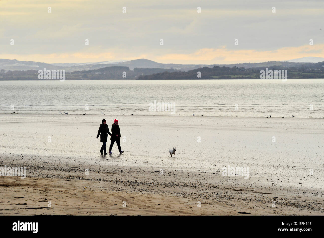 People walking a dog hi-res stock photography and images - Alamy