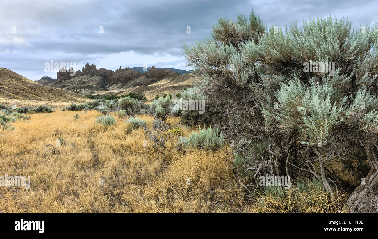 Buffalo Bill State park showing the rugged landscape and dry bush land ...