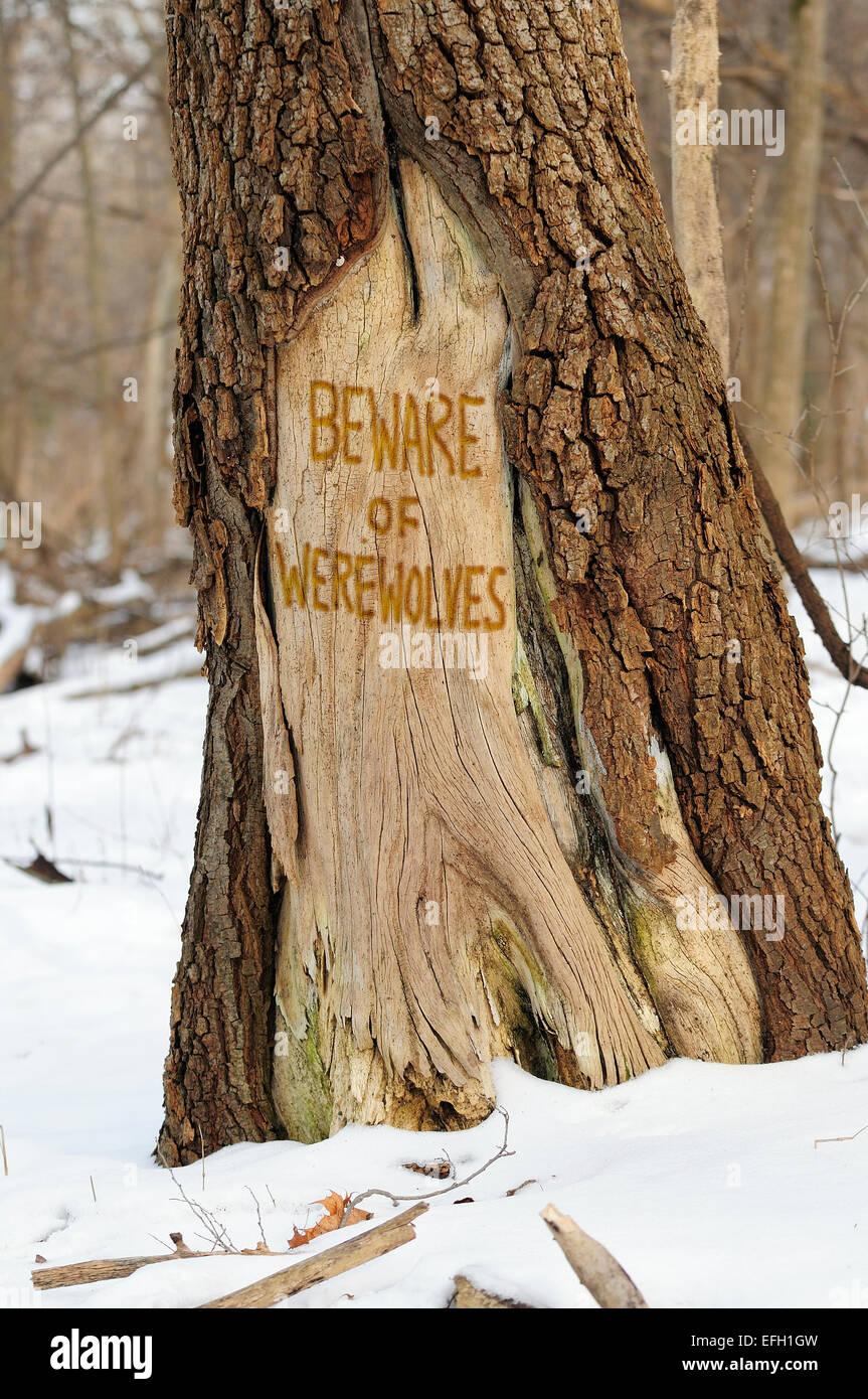 Tree Trunk with "Beware of Werewolves" carved into wood Stock Photo - Alamy