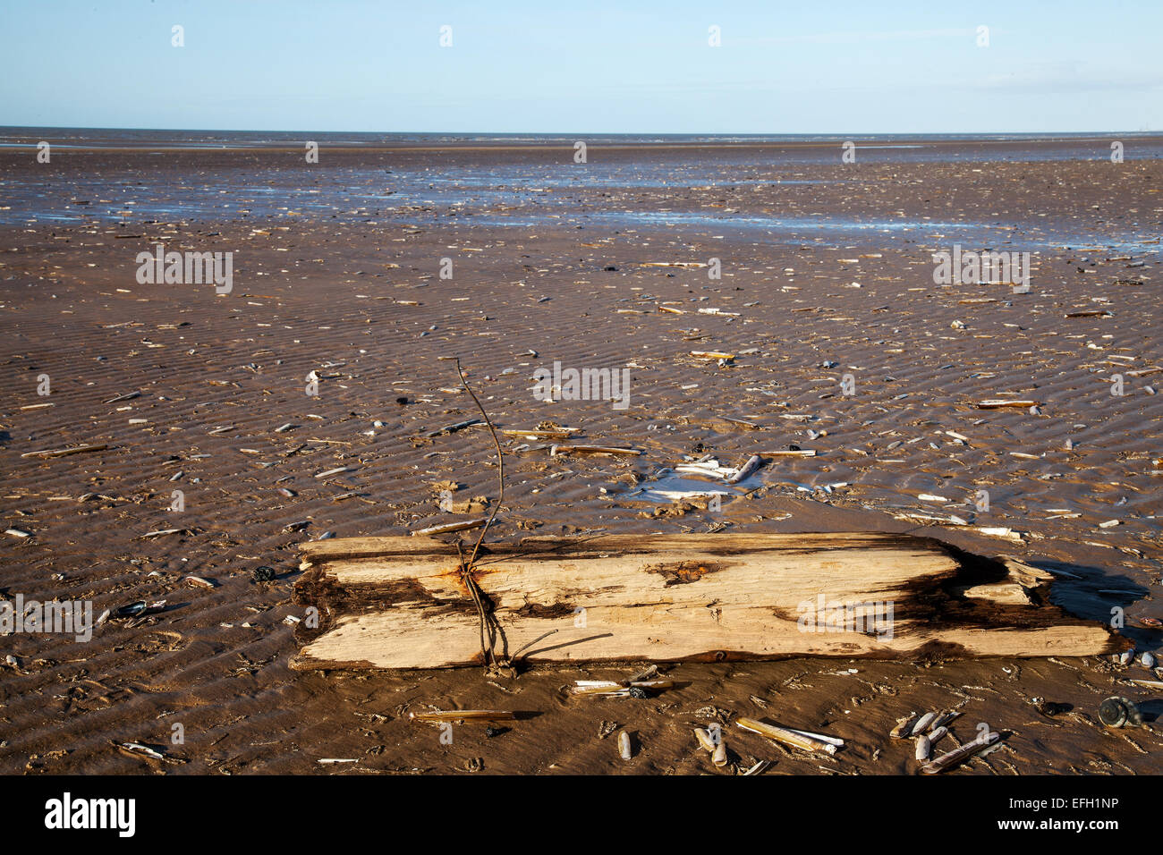 Items Washed Up On A Beach High Resolution Stock Photography and Images ...