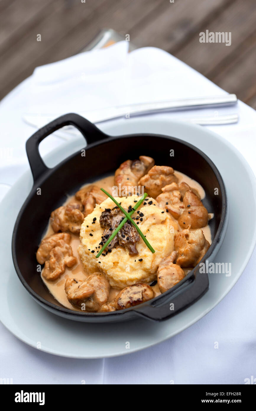 Sweetbreads, polenta and morels in a dish Stock Photo - Alamy