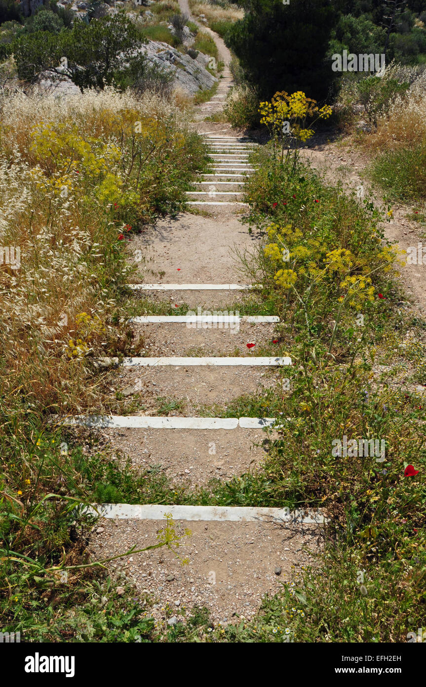 Trail footpath with crooked steps on hill slope Stock Photo - Alamy