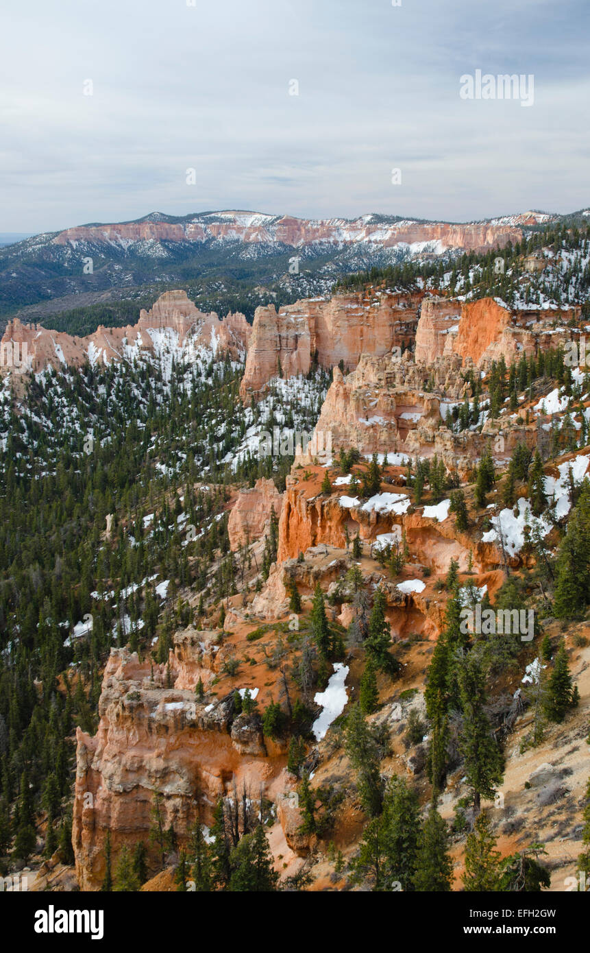 Spring at Bryce Canyon Stock Photo - Alamy