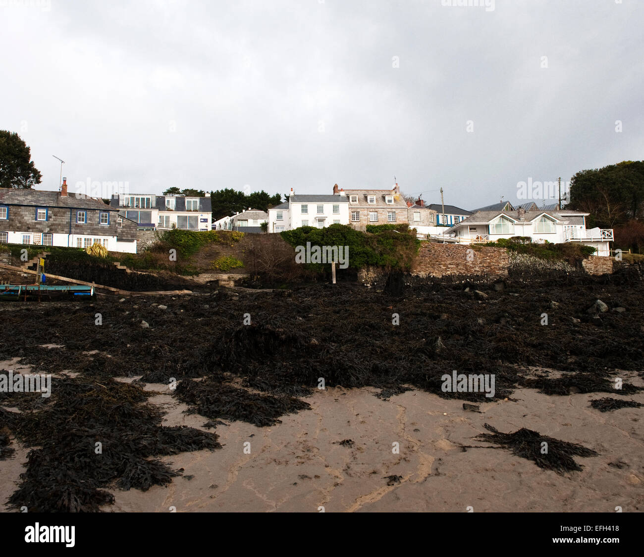 Exclusive village of Rock North Cornwall Stock Photo - Alamy