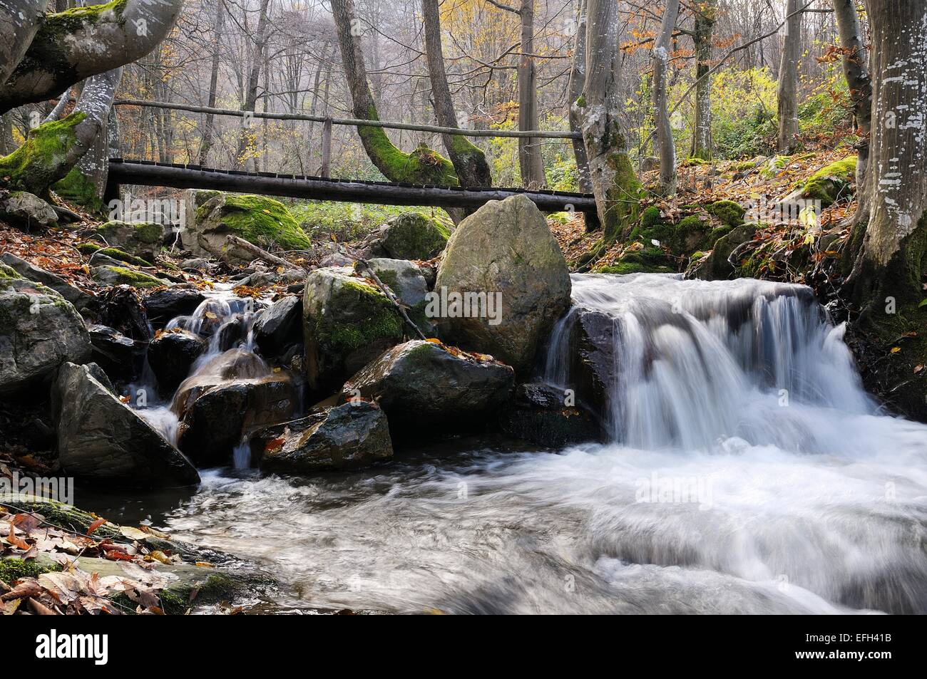 Bridge over a stream Stock Photo - Alamy