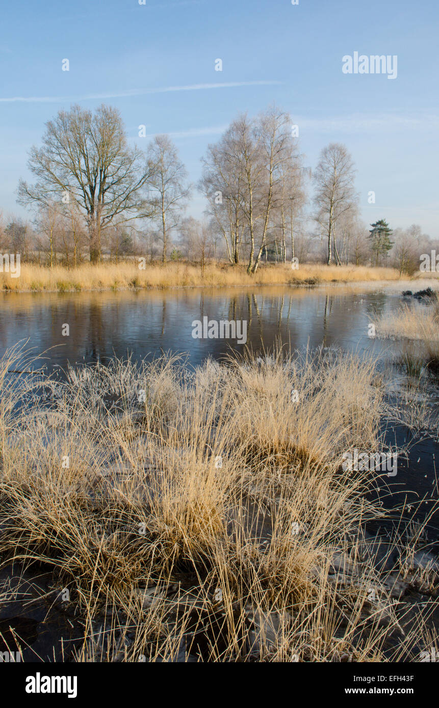 Iping common hi-res stock photography and images - Alamy