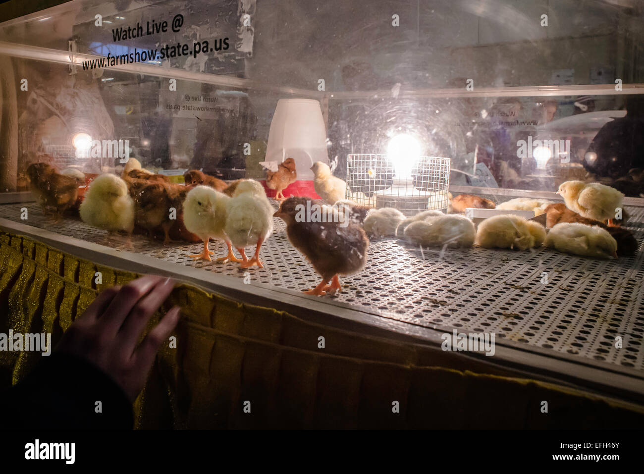 The Pennsylvania Farm Show Complex & Expo Center was built upon ...