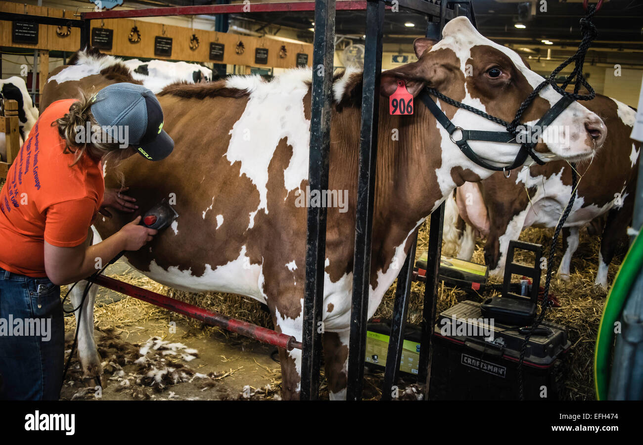 The Pennsylvania Farm Show Complex & Expo Center was built upon ...
