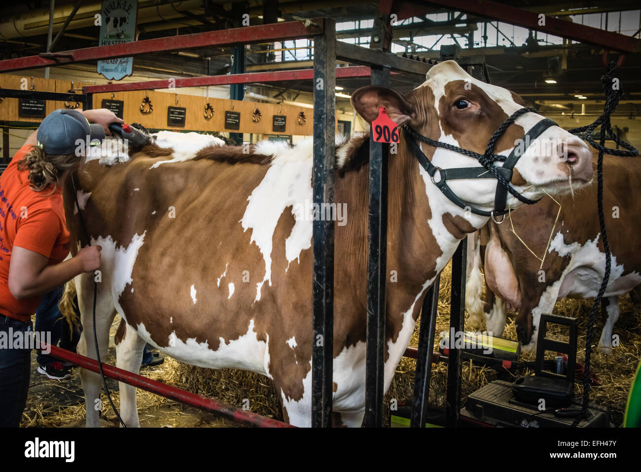 The Pennsylvania Farm Show Complex & Expo Center was built upon ...