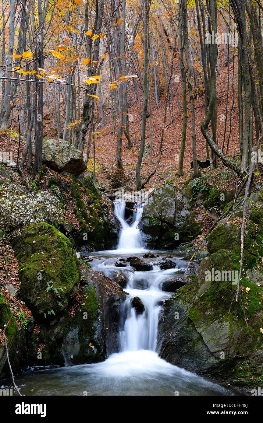 Waterfall in a forest Stock Photo - Alamy