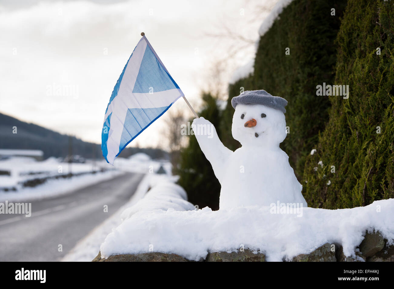 Scottish nose hi-res stock photography and images - Alamy