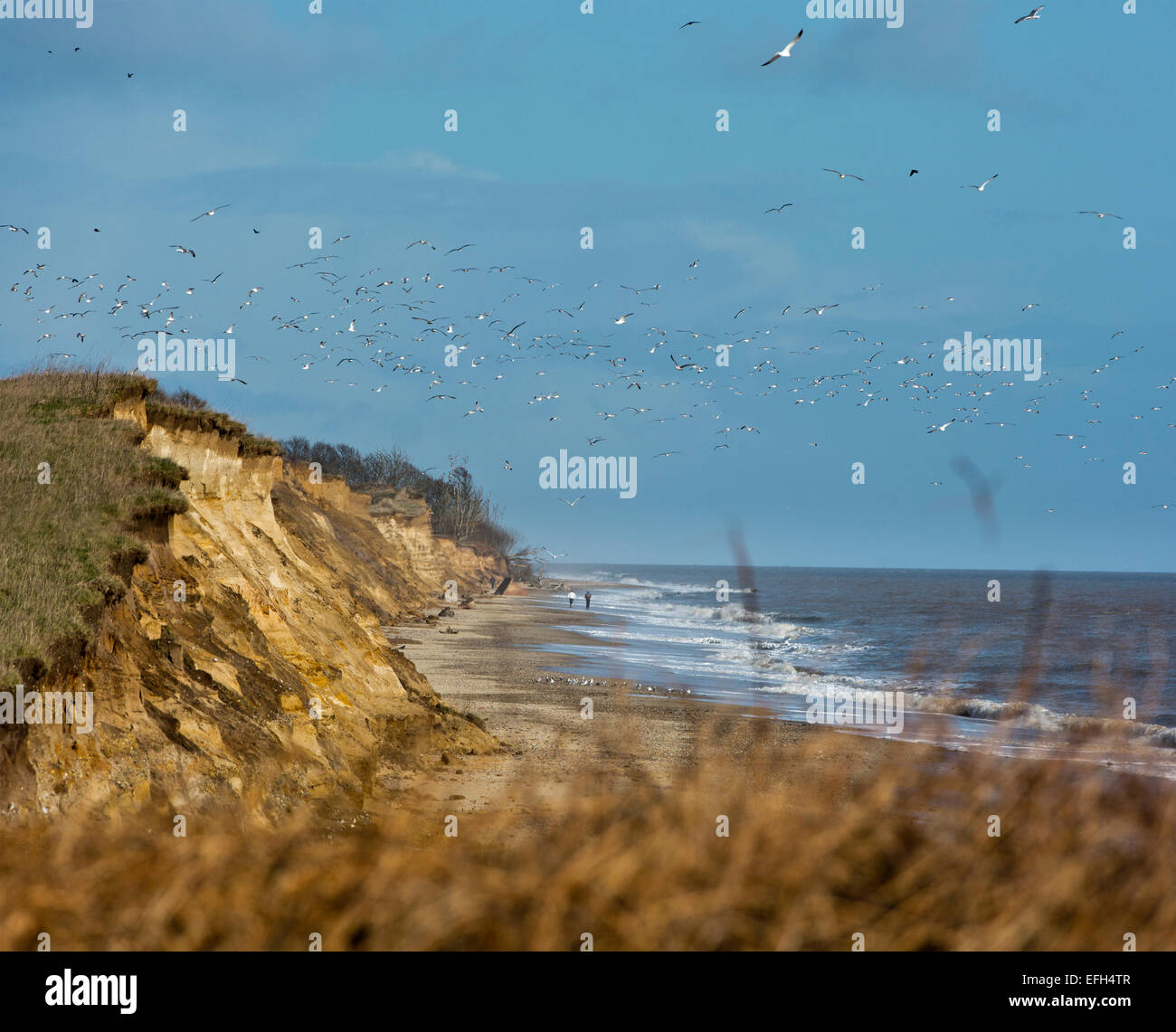 Covehithe sand cliffs Stock Photo - Alamy