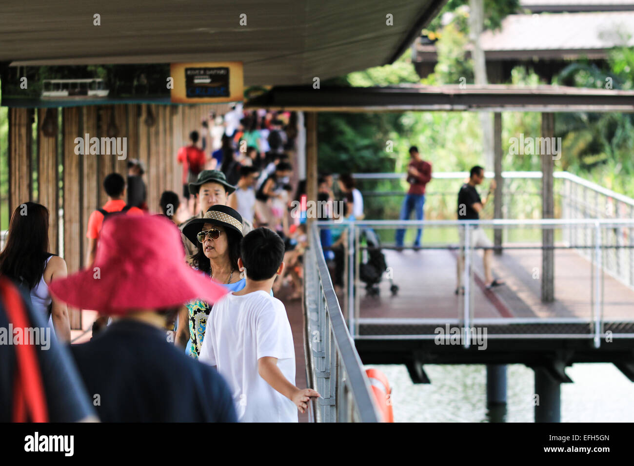 Busy crowds enjoy a hot day at the zoo Stock Photo - Alamy