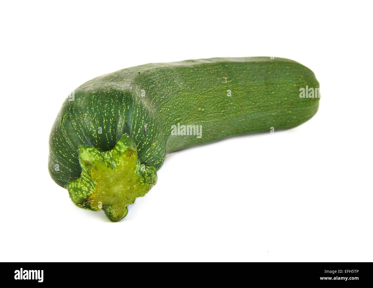 Frontal view of a green and ripe zucchini on white background Stock ...