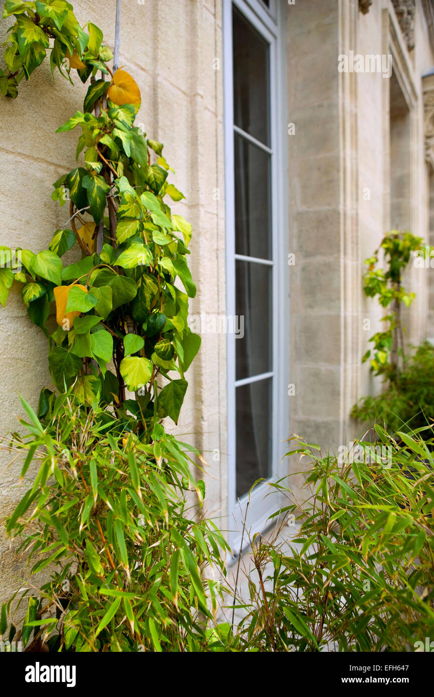 Terrace of a French mansion Stock Photo - Alamy
