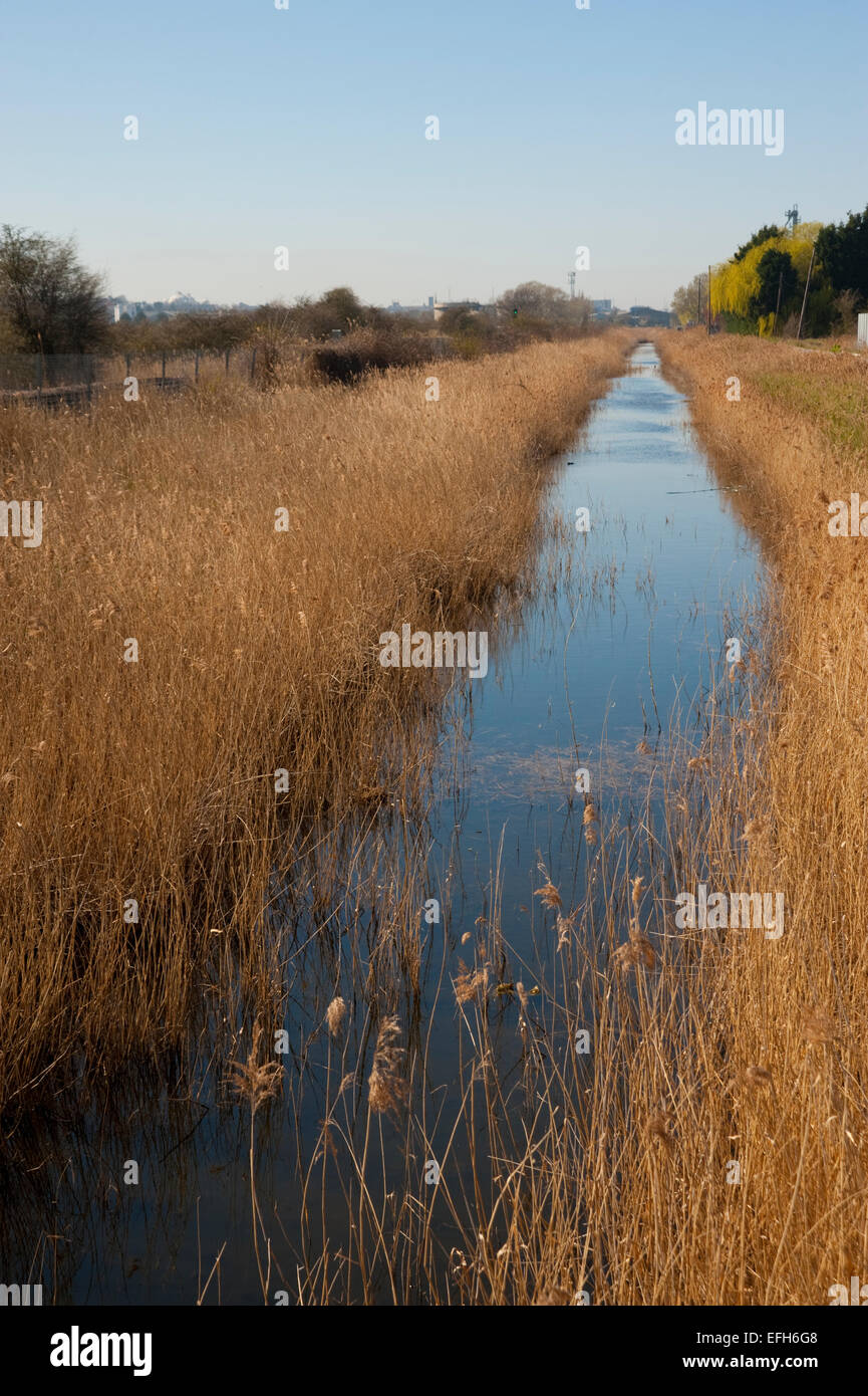 The old Thames and Medway canal at gravesend. With cycle path and ...