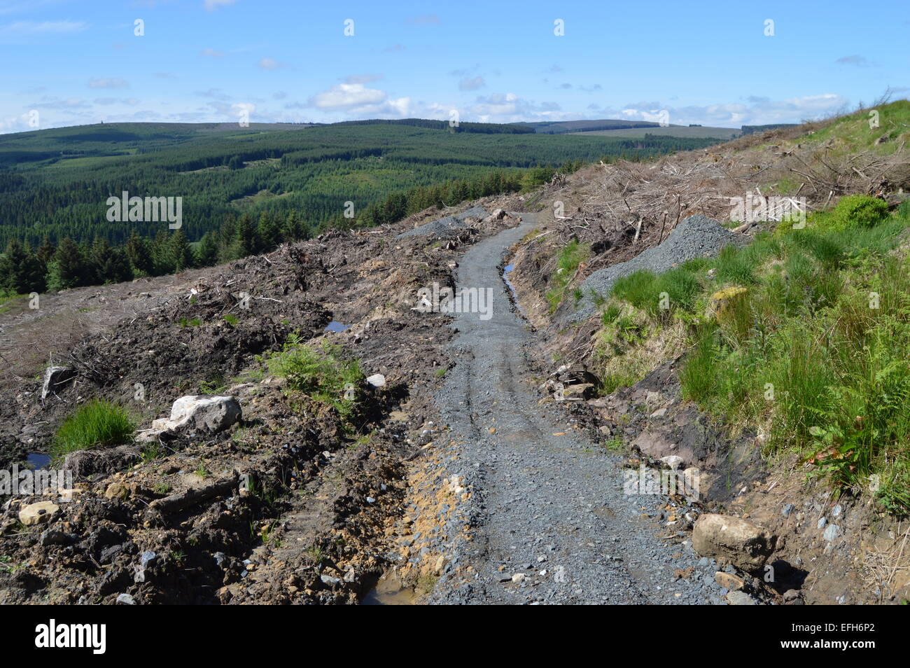 Kielder MTB trails. New build on Kersey Cleugh after clearfell Stock ...