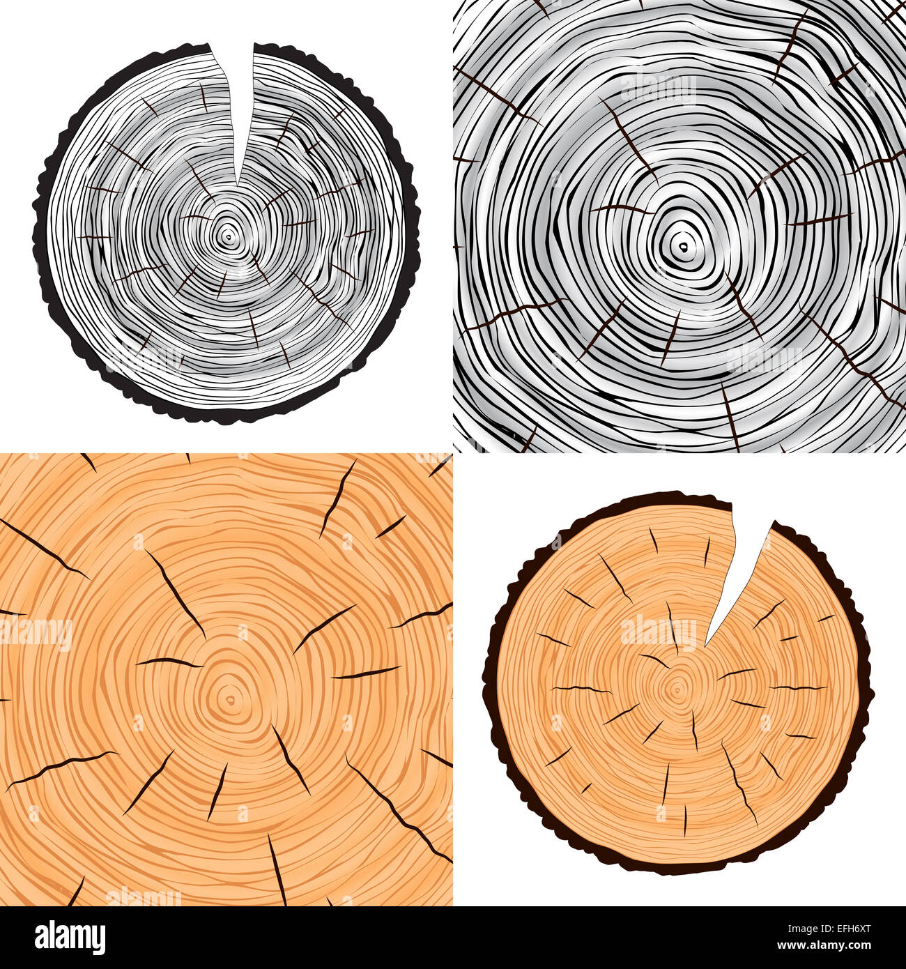 Tree rings background Stock Photo - Alamy