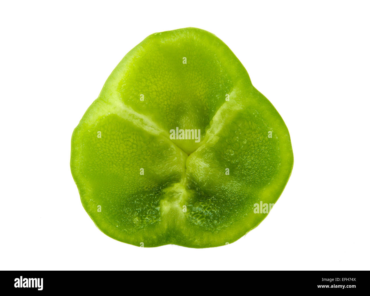 Inside part of a fresh green pepper isolated on white background Stock ...