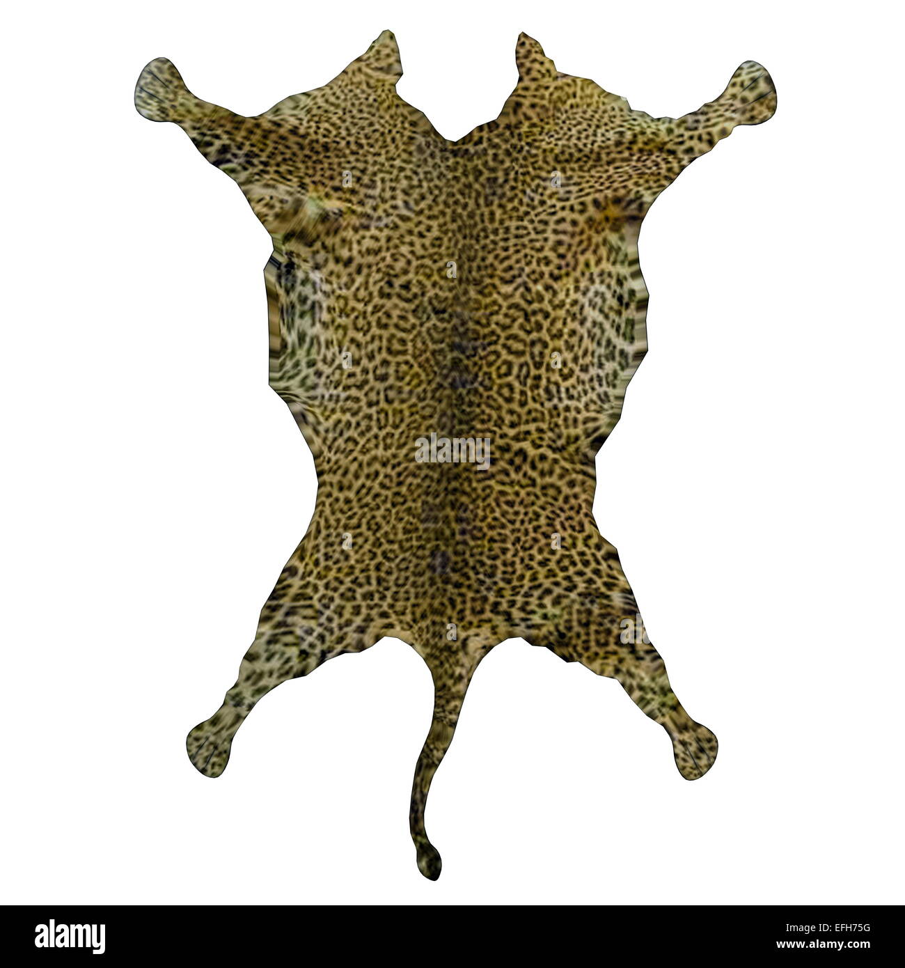 Animal skin rug hi-res stock photography and images - Alamy