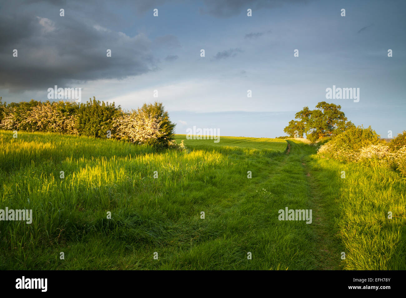 Country track hi-res stock photography and images - Alamy