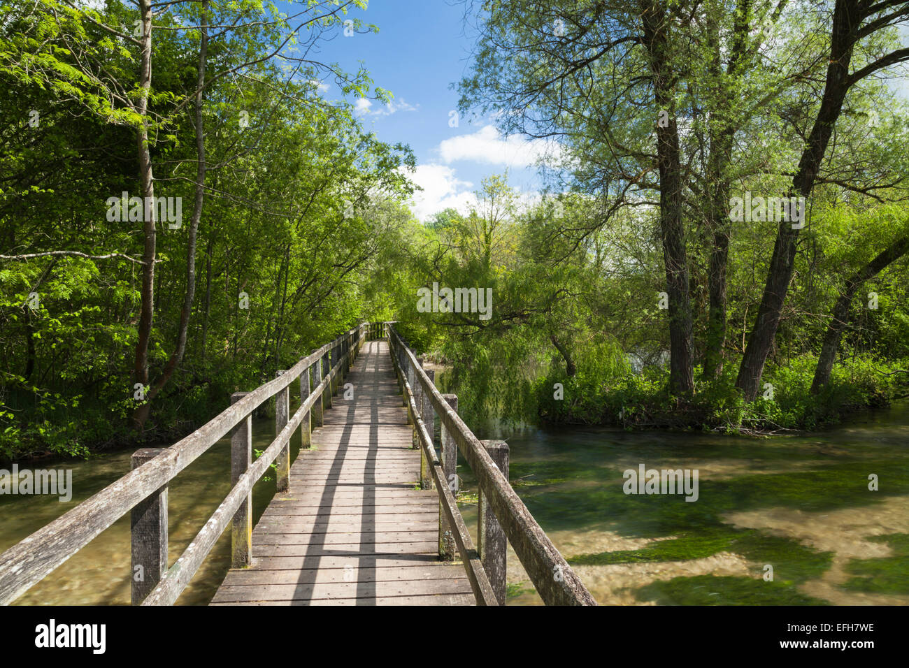 Wooden footbridge or walkway crosses a wide section of the River Test ...