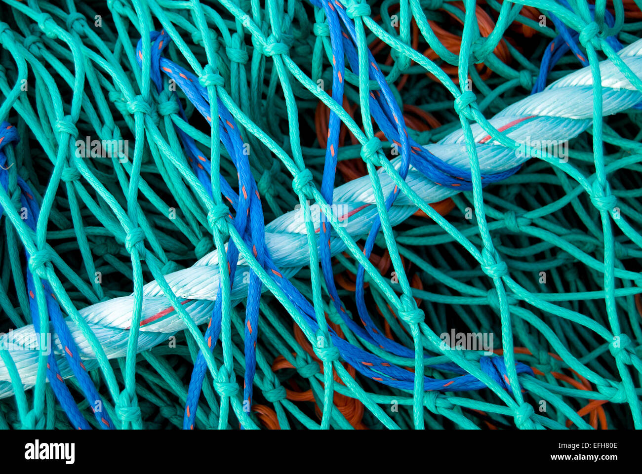 Day trip fishing hi-res stock photography and images - Alamy