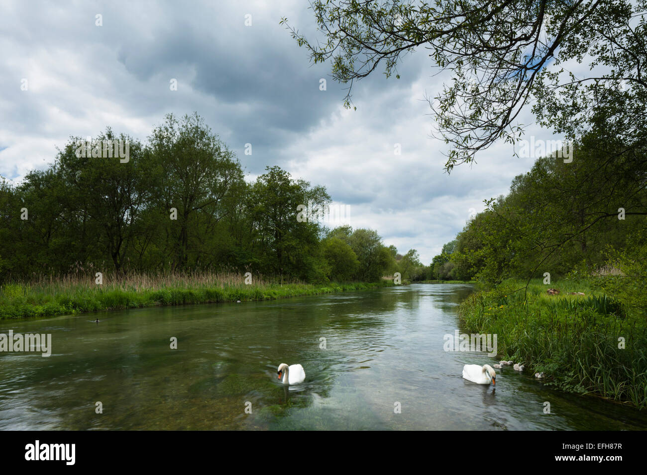 River itchen hi-res stock photography and images - Alamy