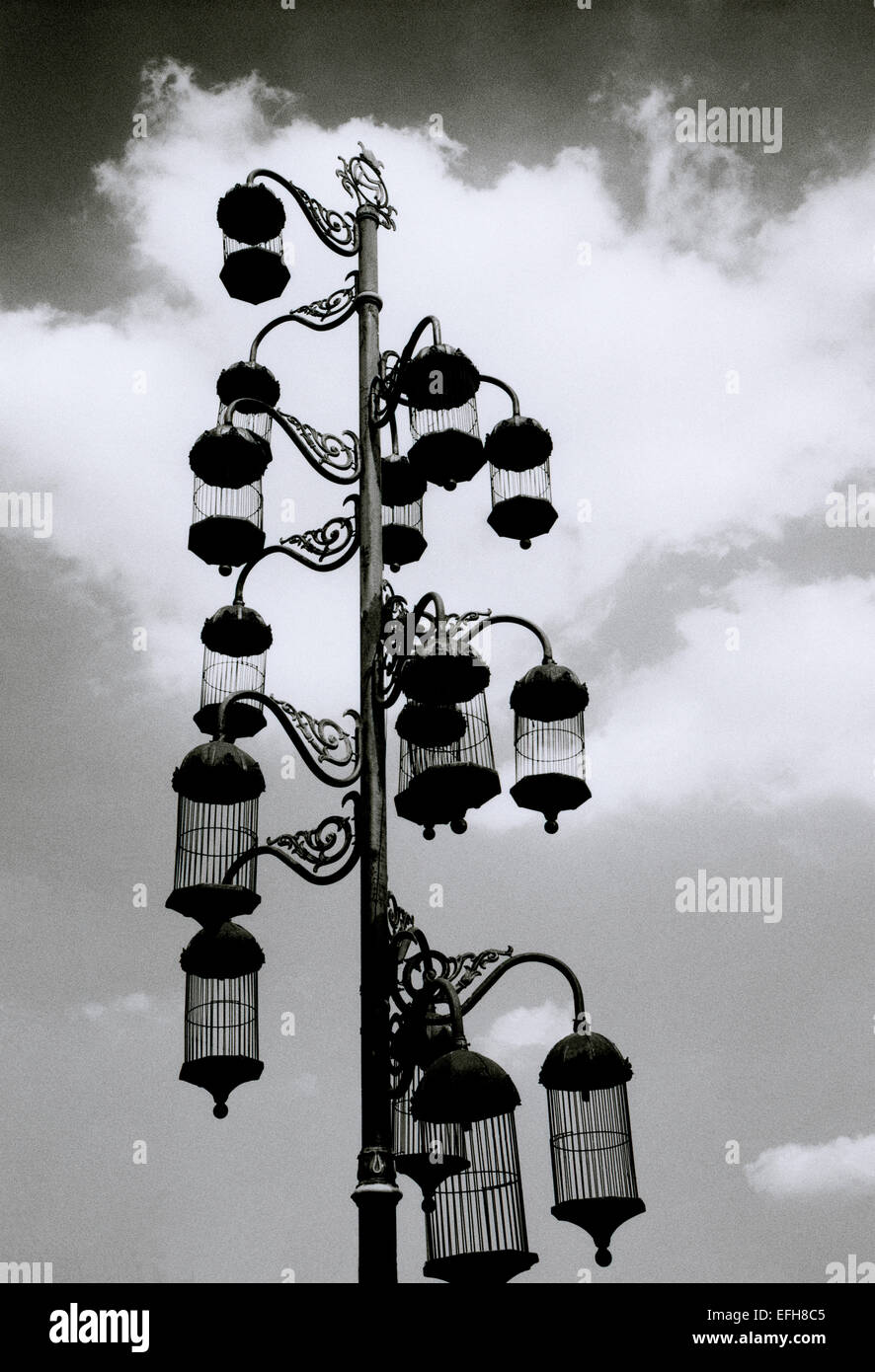 Urban street light in Solo Surakarta in Java in Indonesia in Southeast ...