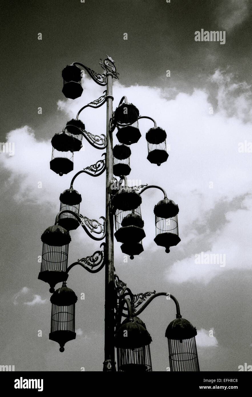 Urban street light in Solo Surakarta in Java in Indonesia in Southeast ...