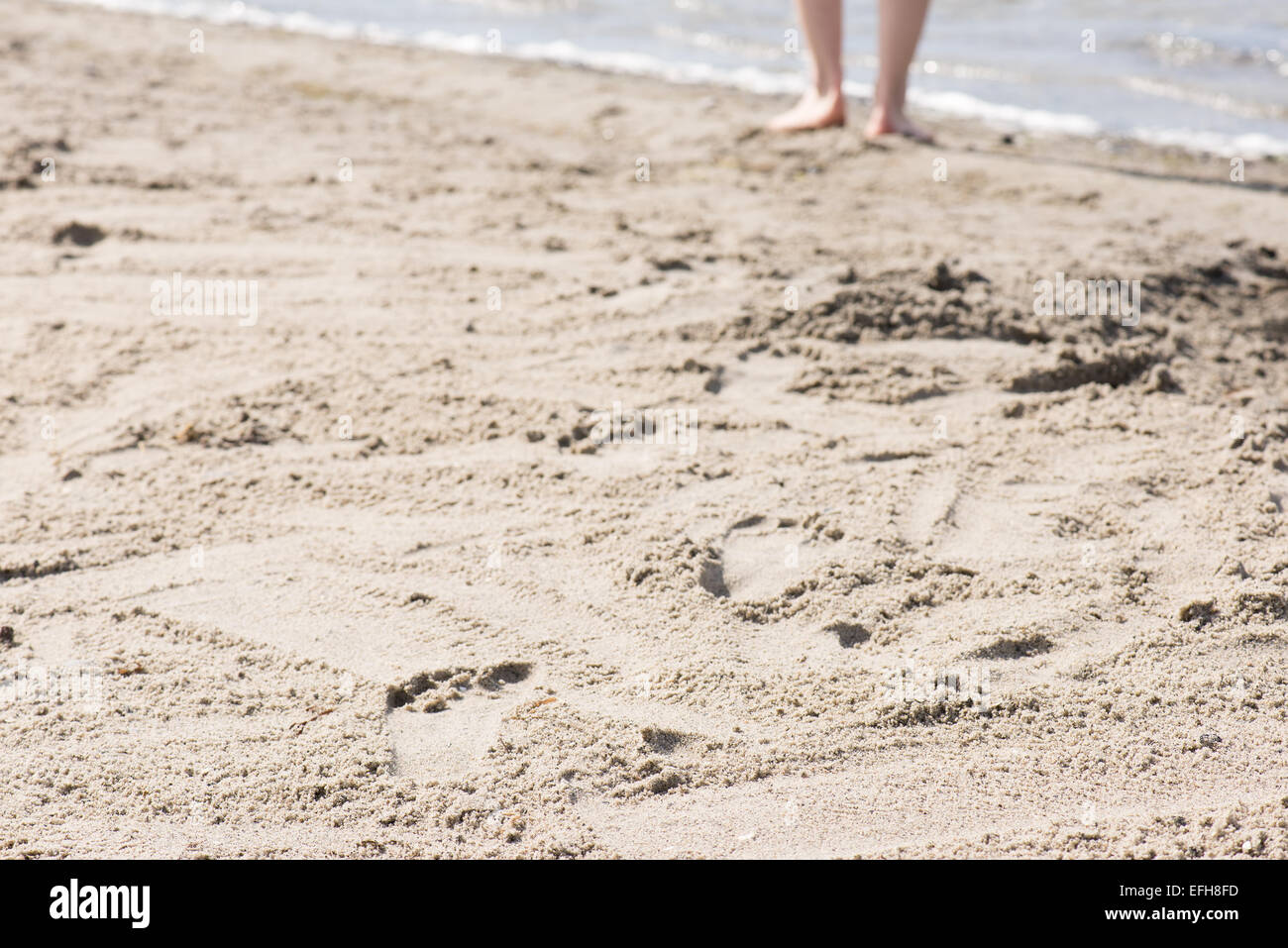 Pretty feet barefoot beach hi-res stock photography and images - Alamy