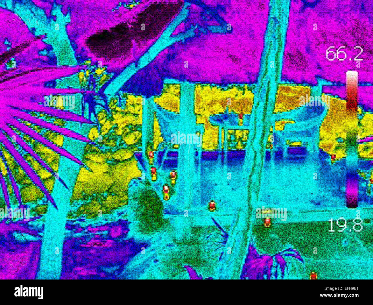 Garden view in the warm night, thermographic image with FLIR camera ...