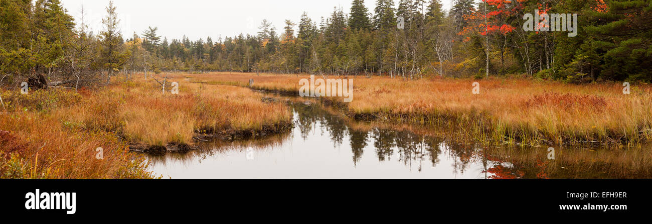 Small stream leading into Jordan Pond, Acadia National Park, Maine, USA ...