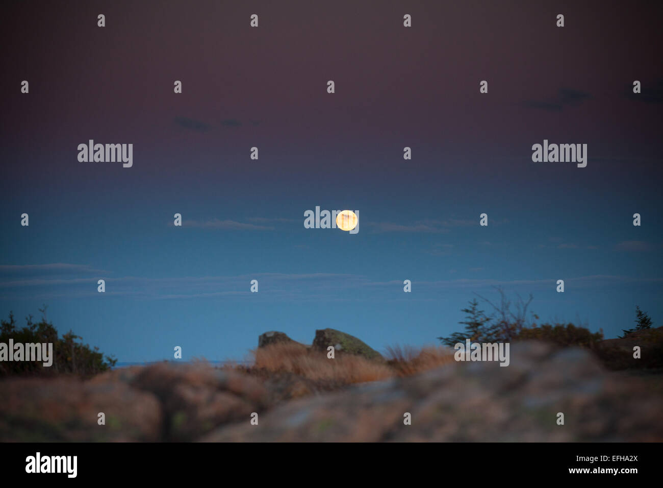 Full moon rising, from Cadillac Mountain, Acadia National Park, Maine ...