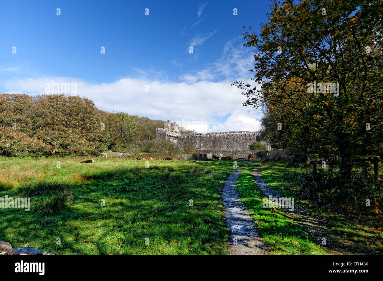 St davids cathedral shrine hi-res stock photography and images - Alamy